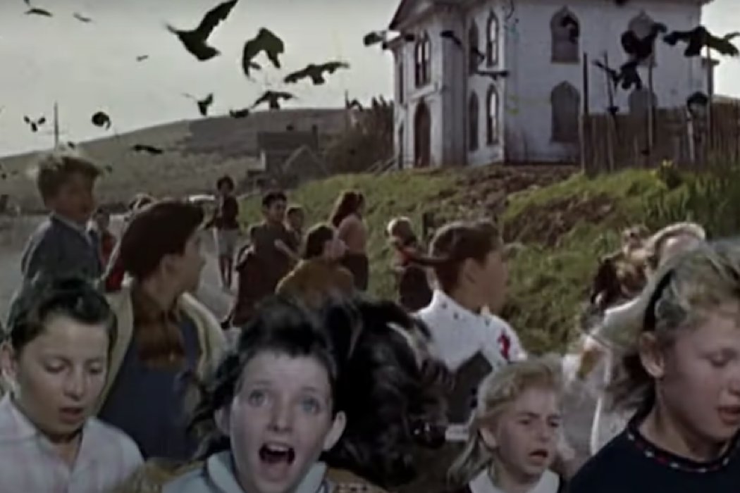 HORROR: JOURNEY THROUGH THE DECADES- 1960’S (1963) – The Birds ...